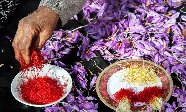 Iranian Saffron - The World’s Most Expensive Spice