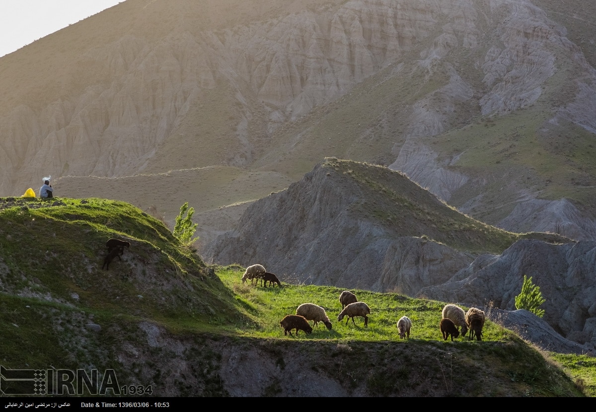 Discover Spring in Neyshabur: Iran's Burst of Nature and History – SURFIRAN