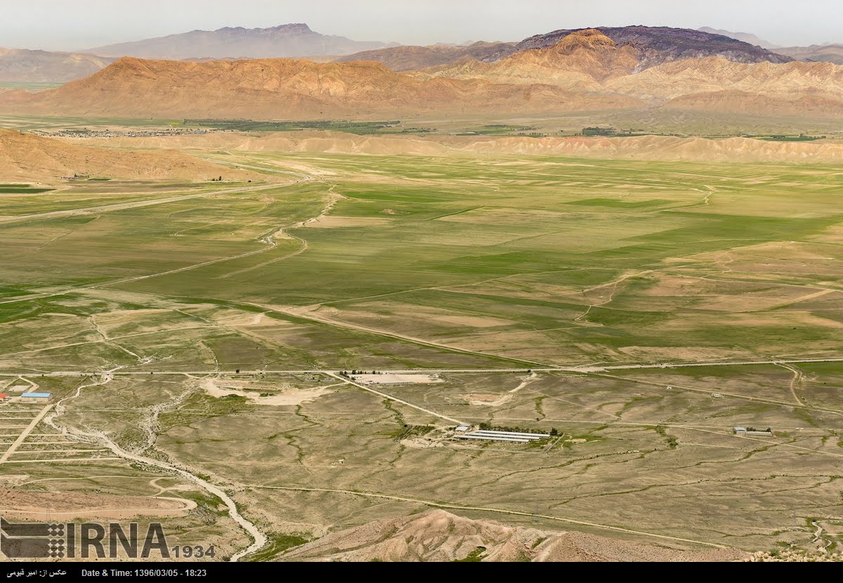 Fars Province Awakens: Spring's Blooming Wonders in Iran – SURFIRAN