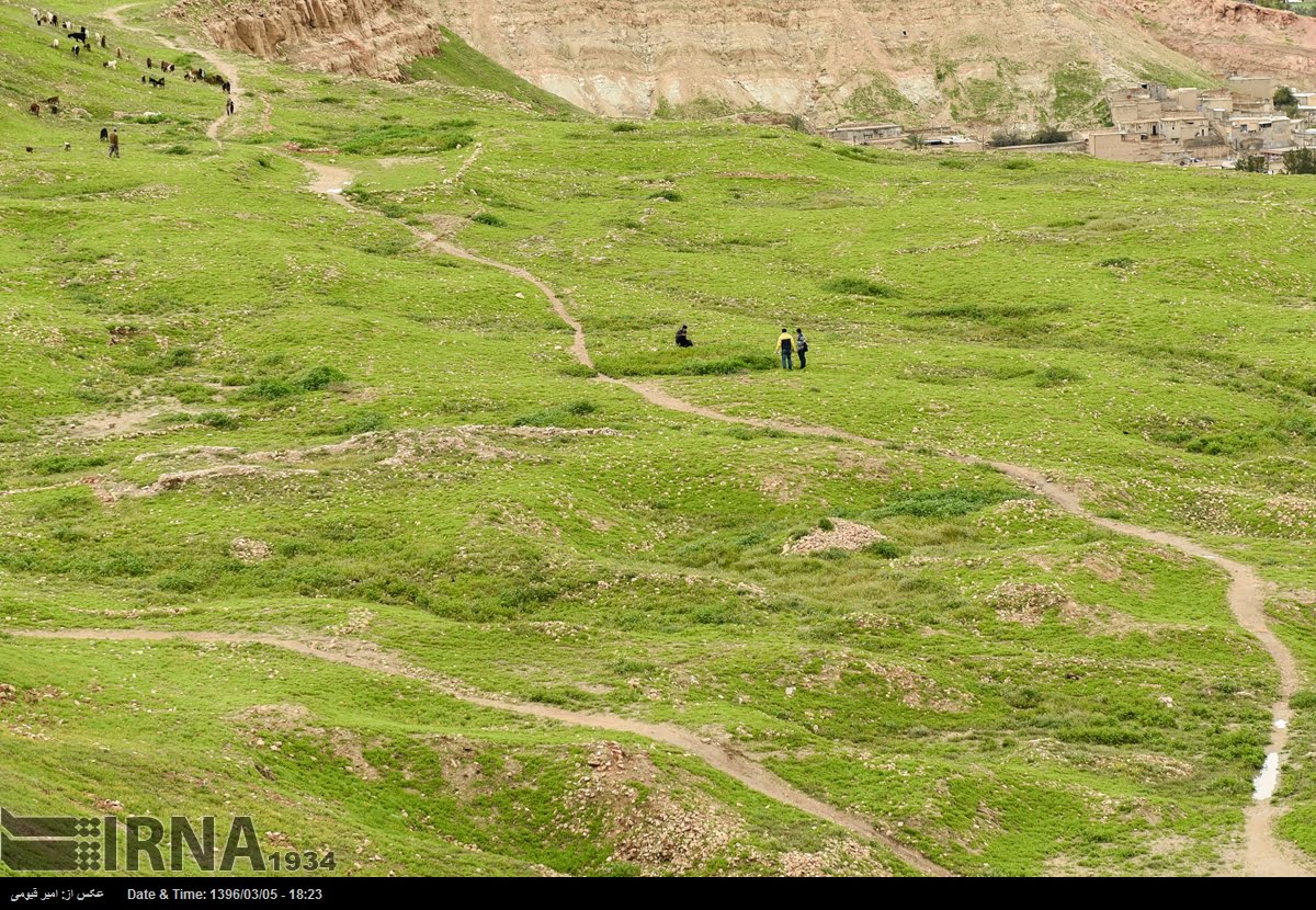Fars Province Awakens: Spring's Blooming Wonders in Iran – SURFIRAN