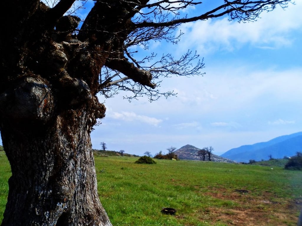 Top 15 Reasons to Explore Jangale Abr – SURFIRAN