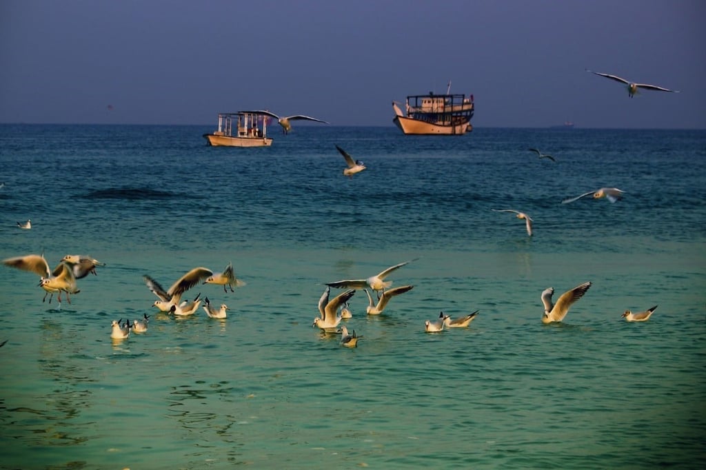 Kish Travel Guide: Top Sights & Tips + Photos – SURFIRAN
