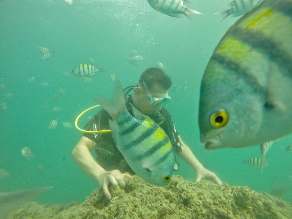 Kish Travel Guide: Top Sights & Tips + Photos – SURFIRAN