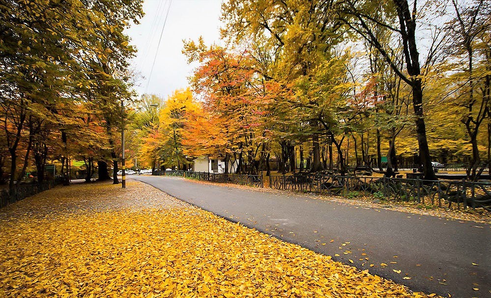 Gorgan Travel Guide: Top Sights & Tips + Photos – SURFIRAN