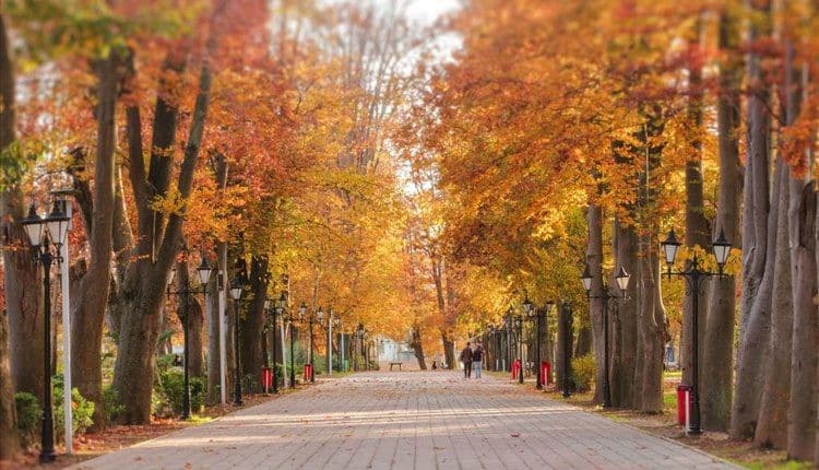 Rasht Travel Guide: Top Sights & Tips + Photos – SURFIRAN