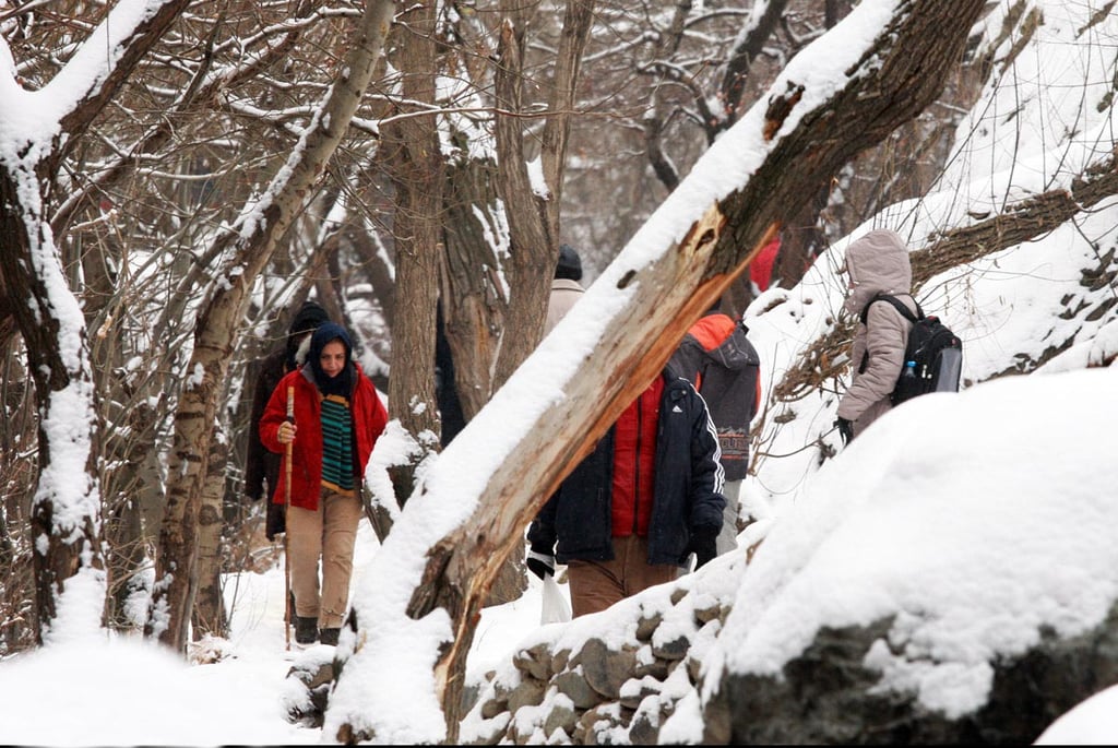 Darakeh Travel Guide: Serenity in Tehran's Hustle – SURFIRAN