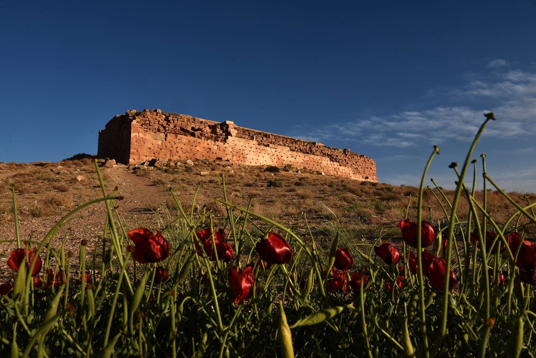 Pasargadae Travel Guide – SURFIRAN