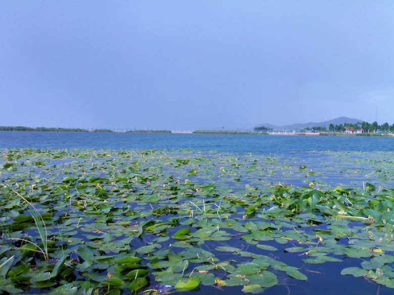 Sarab Niloufar (Lotus Pond): A Tranquil Oasis in Iran – SURFIRAN
