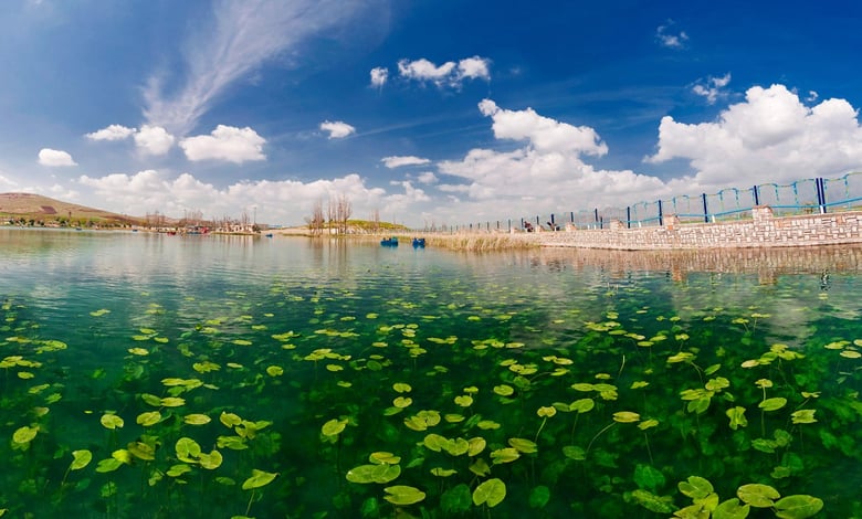 Sarab Niloufar (Lotus Pond): A Tranquil Oasis in Iran – SURFIRAN