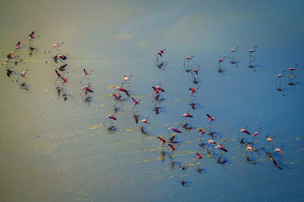Exploring Maharloo Lake: A Comprehensive Guide