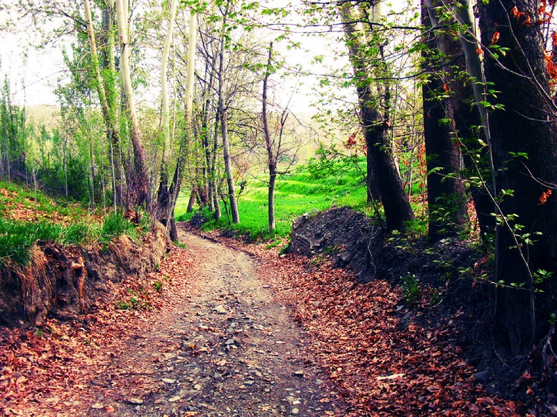 Shandiz County: Nature's Retreat Near Mashhad