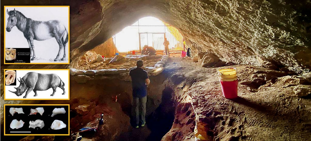 175,000-Year-Old Neanderthal Tooth Found on Dig in Iran