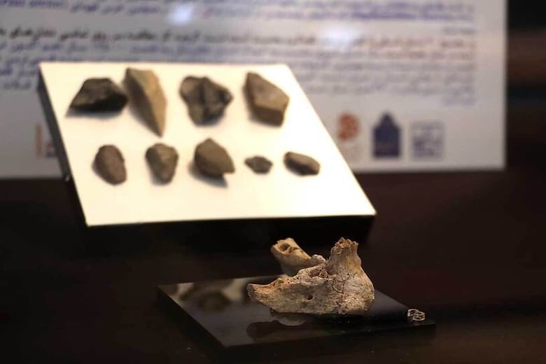 175,000-Year-Old Neanderthal Tooth Found on Dig in Iran