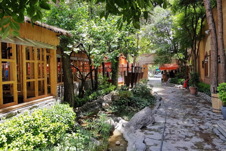 Shandiz County: Nature's Retreat Near Mashhad