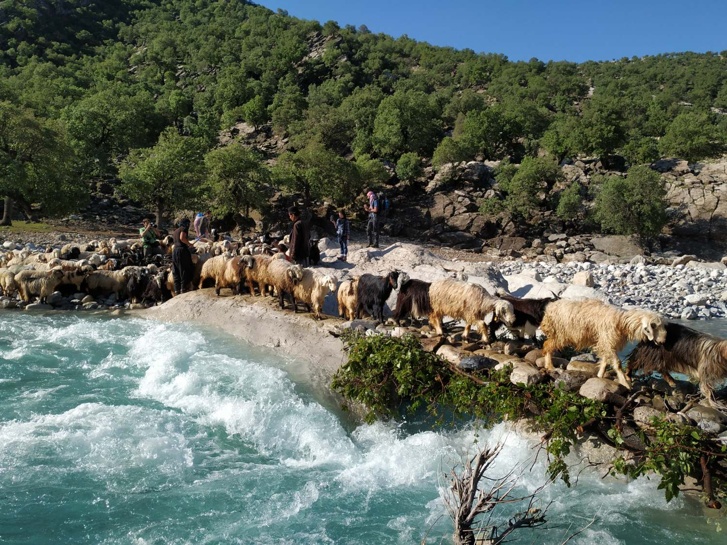 5 Reasons Iran Nomads Are Worth Visiting