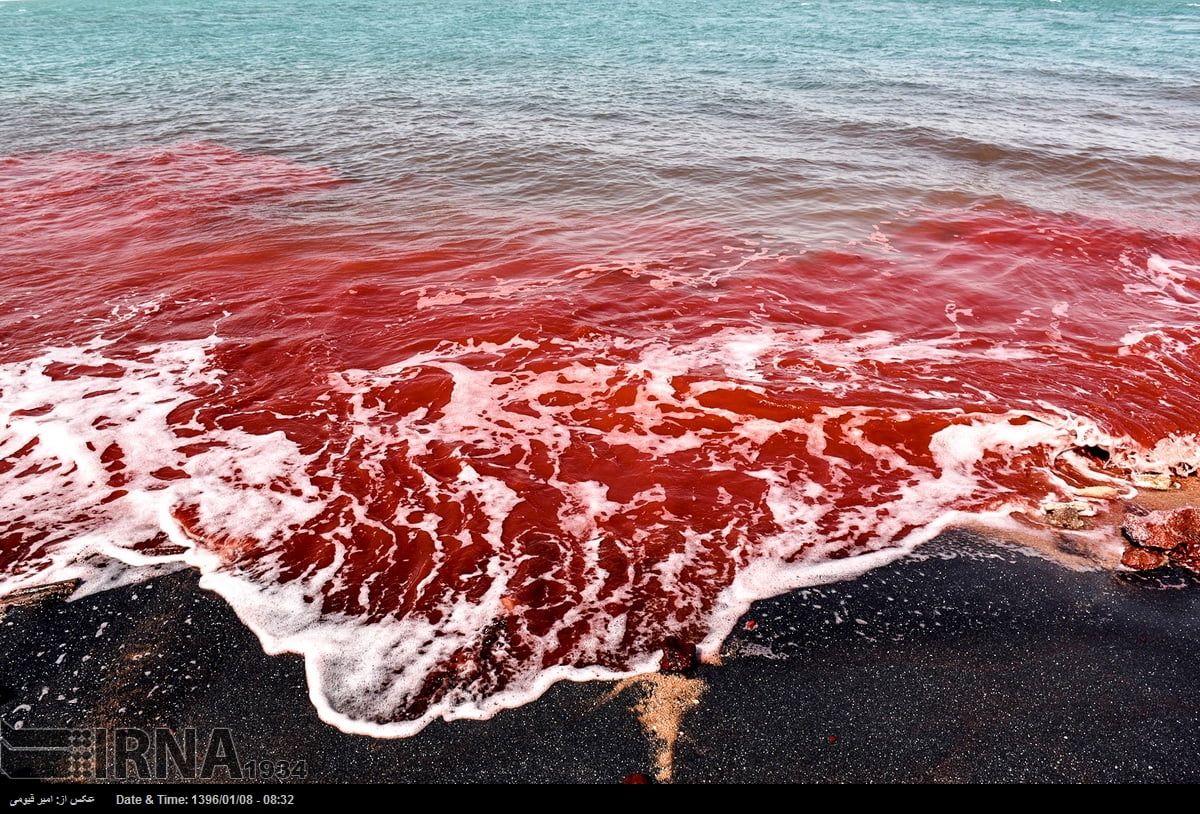 Hormuz Island In Pictures: A Canvas Of Colors And Culture – SURFIRAN