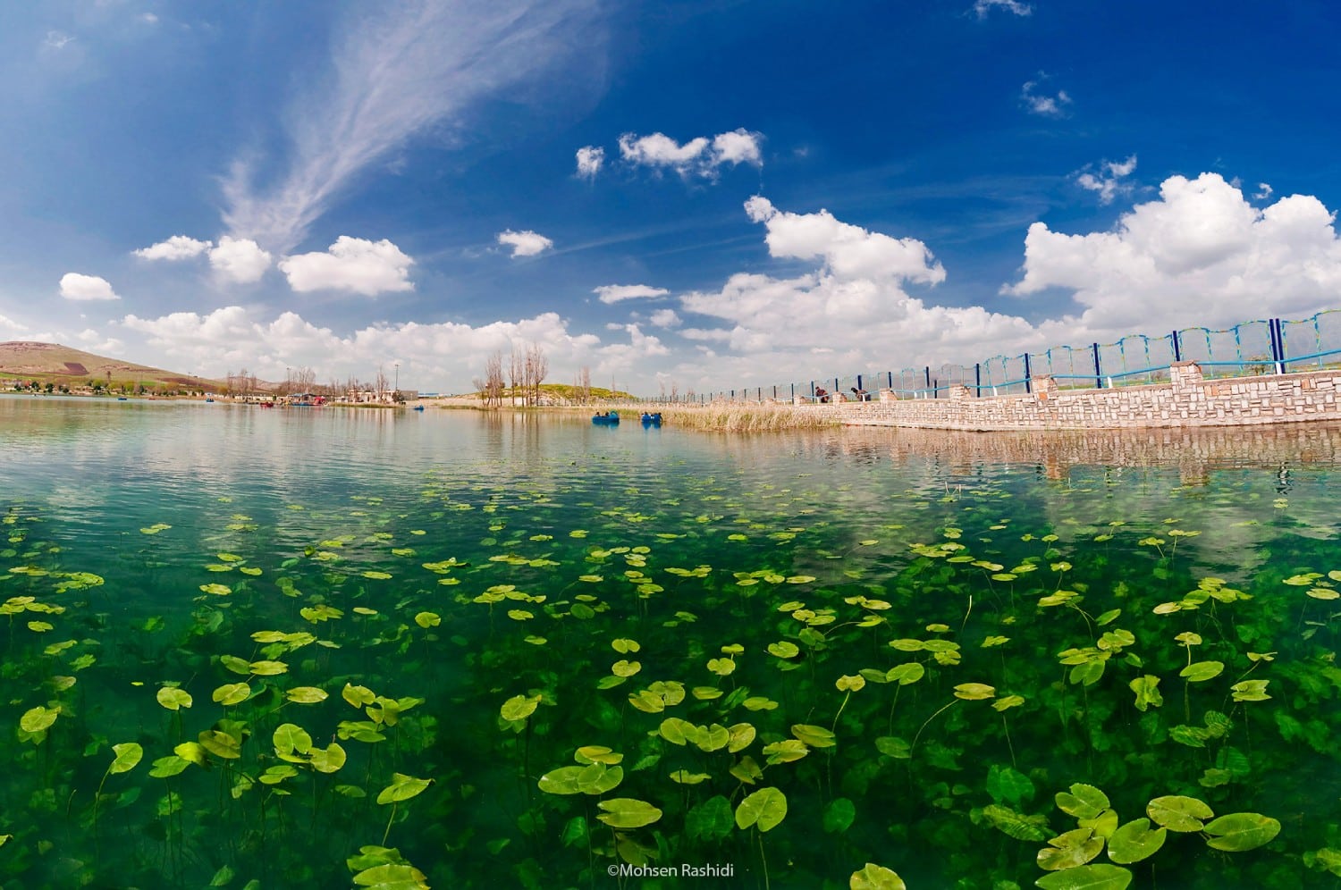 Sarab Niloufar (Lotus Pond): A Tranquil Oasis In Iran
