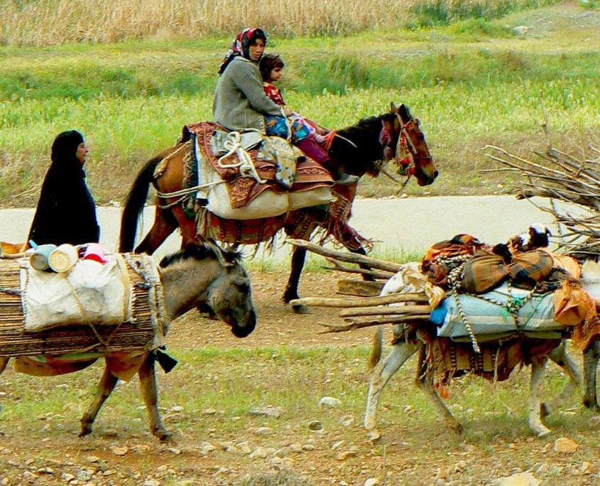 Iran Nomad Tour - Living with the Qashqai Tribes – SURFIRAN